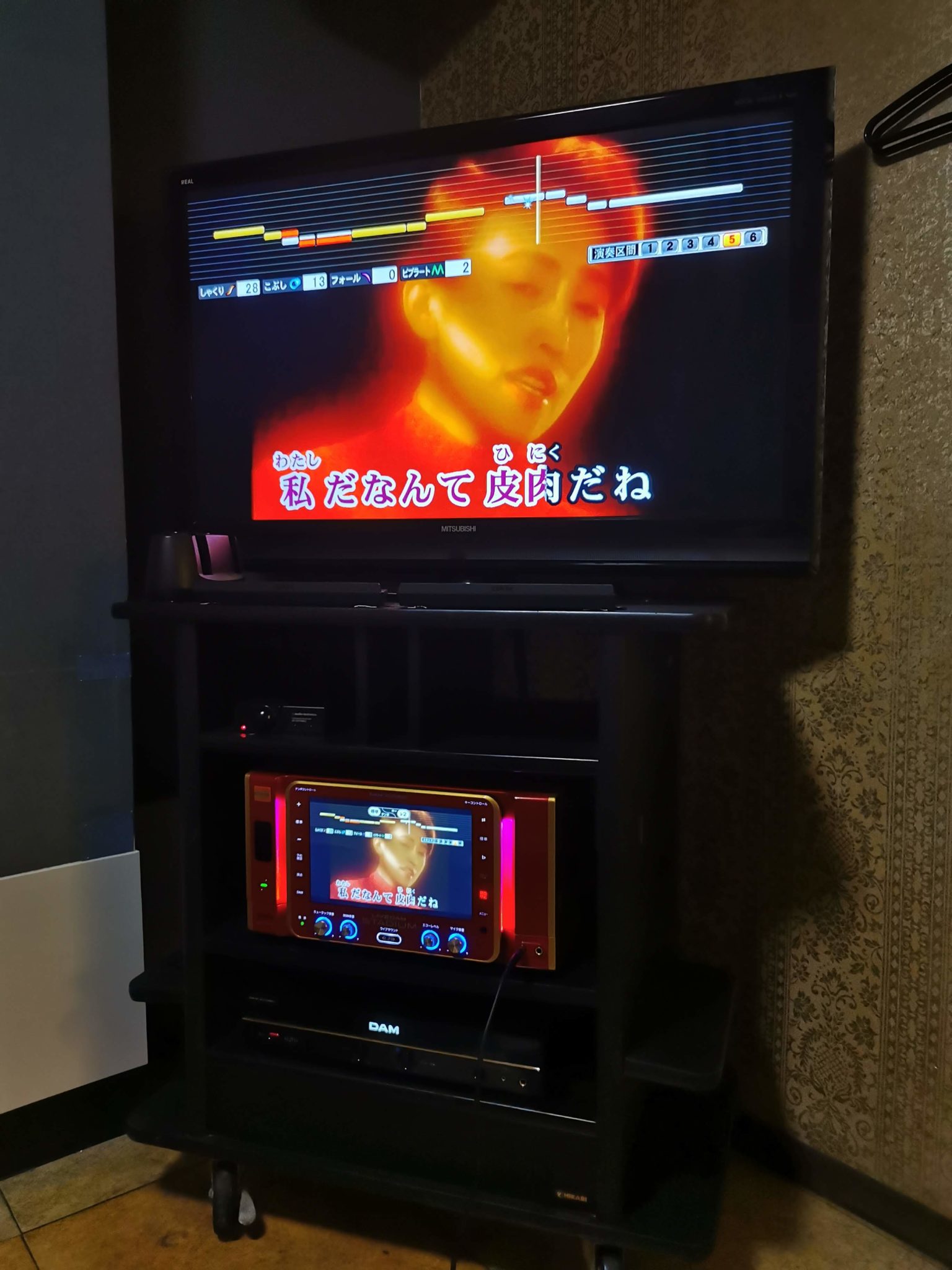 久々のカラオケを堪能した週末(2020年6月27日の写真日記) Hinemosu